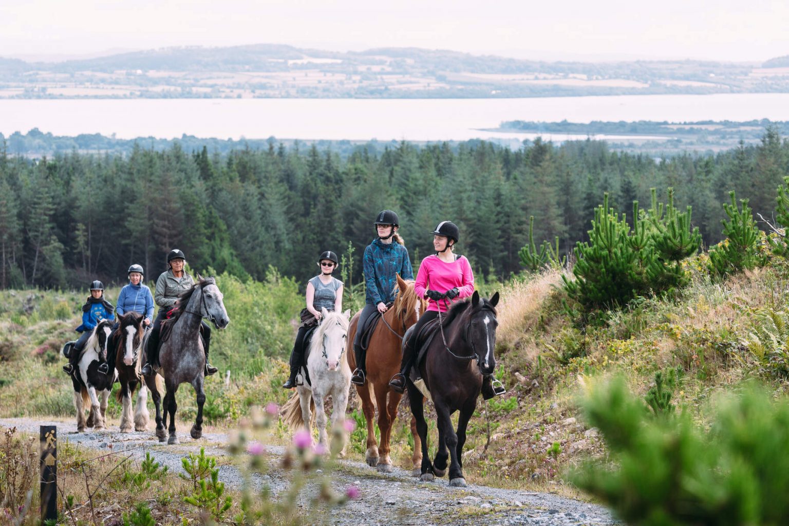 Horse & Pony Trekking | Dunbeacon Camping and Glamping